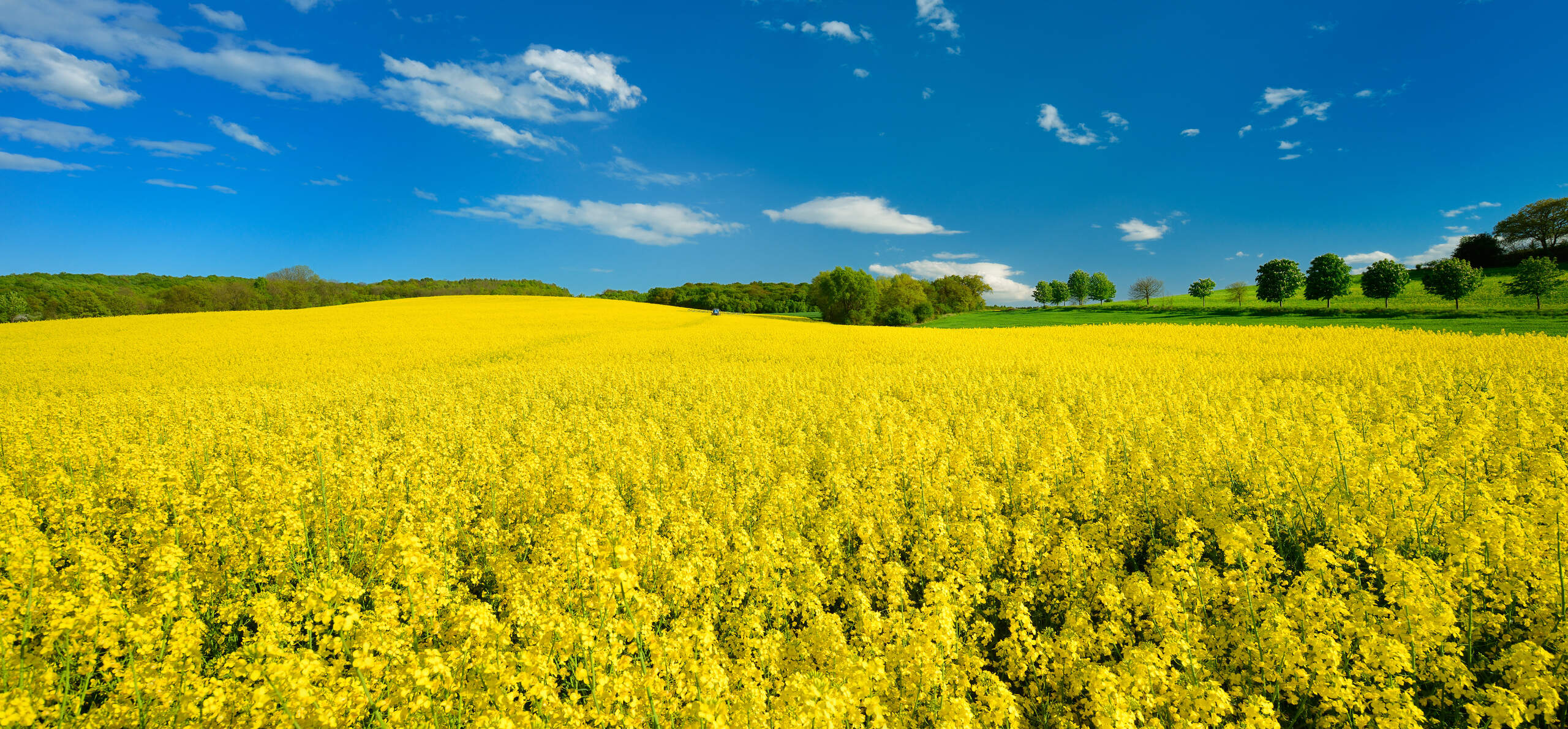 Soil Analysis Solutions for Germany, Austria & Switzerland | Stenon DACH