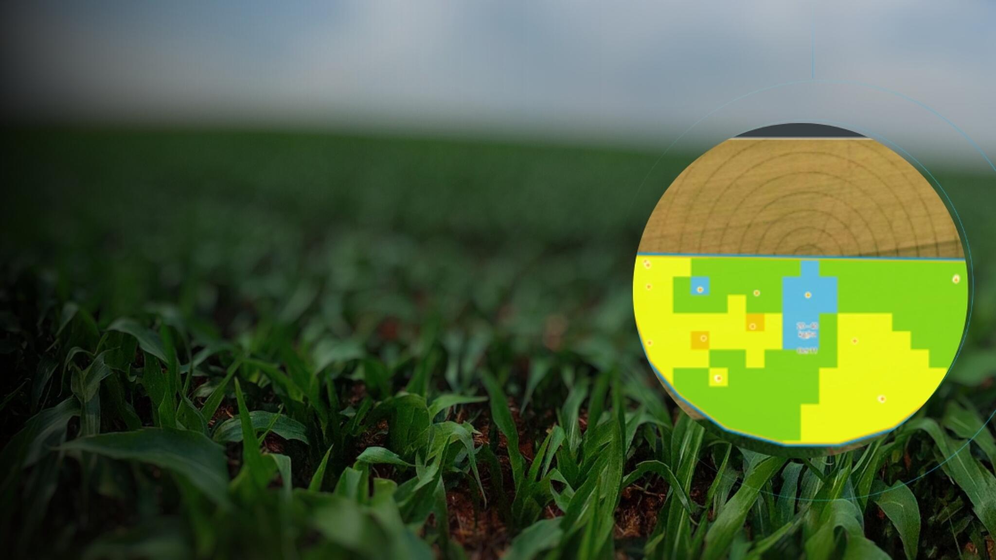 Customer Success Stories | Real Results with Stenon Soil Data Solutions