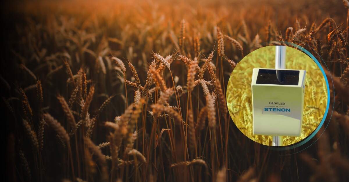 Customer Success Story: record-breaking wheat yield on the farm in the ...