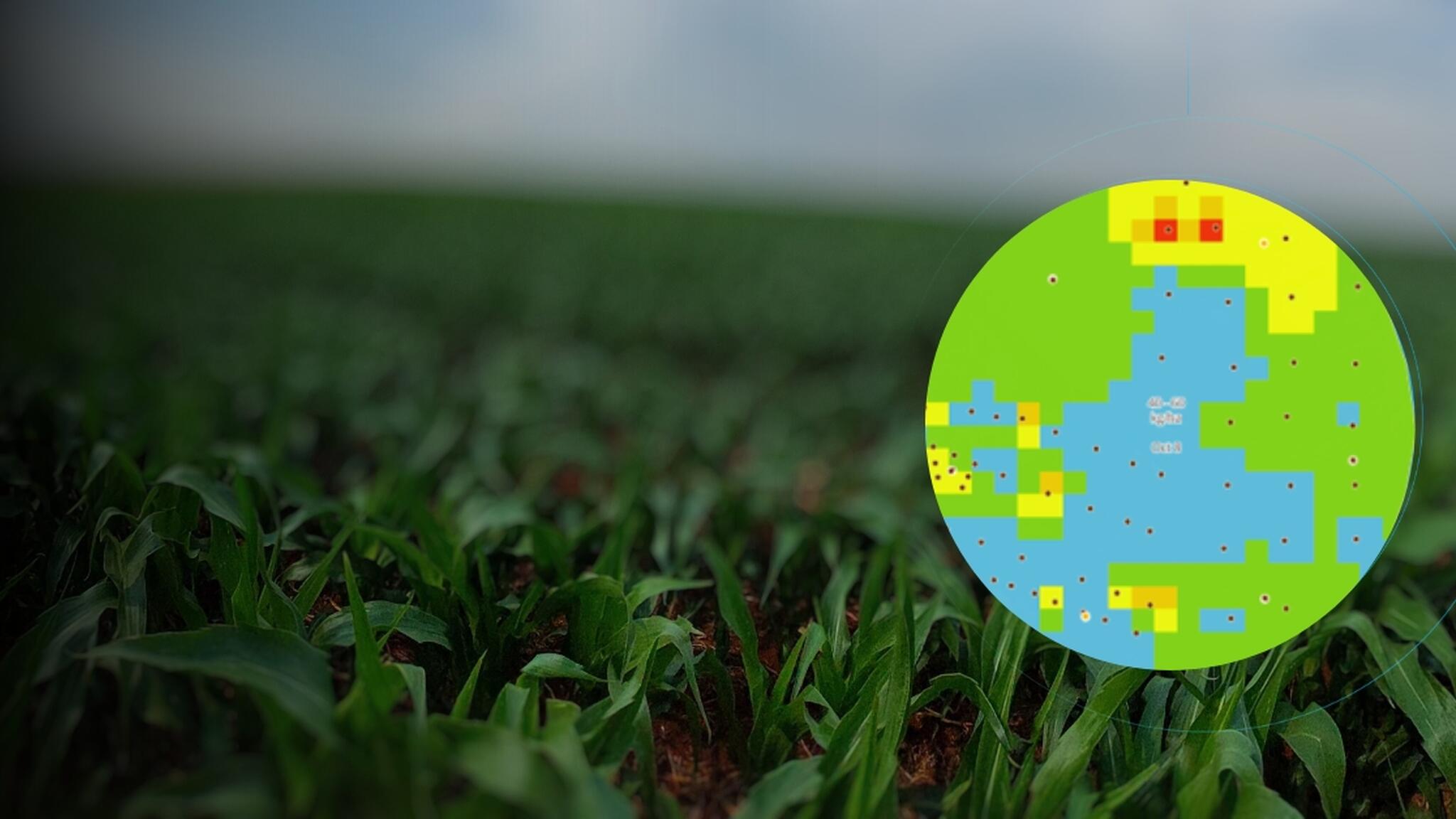 Customer Success Stories | Real Results with Stenon Soil Data Solutions